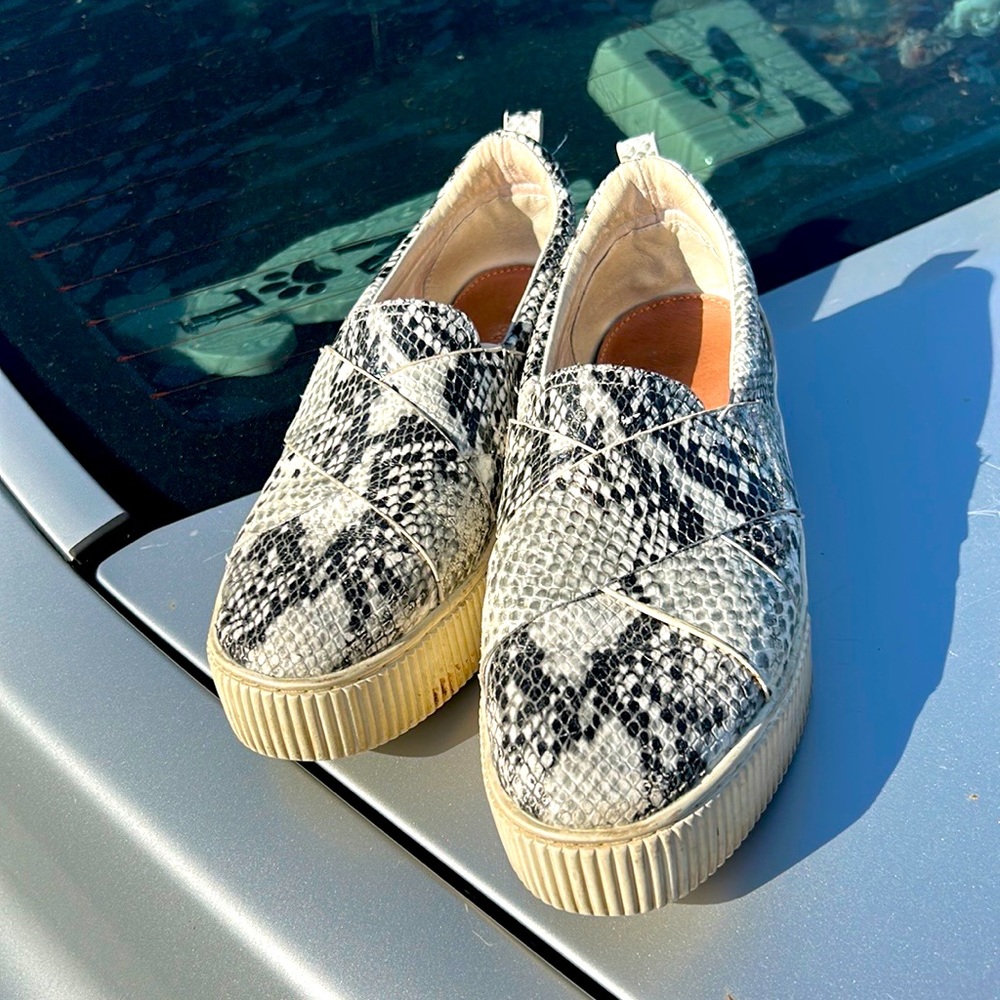 Snakeprint Halogen Platform Shoes - Gem